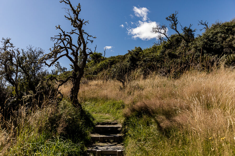 Dart | Paradise Trust - Glenorchy