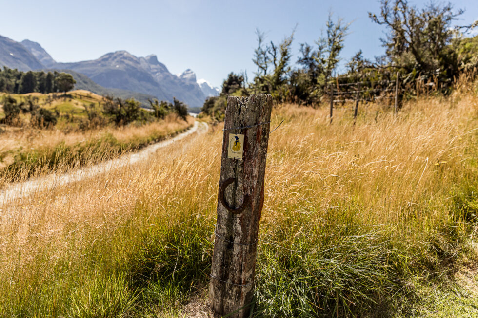 Dart | Paradise Trust - Glenorchy